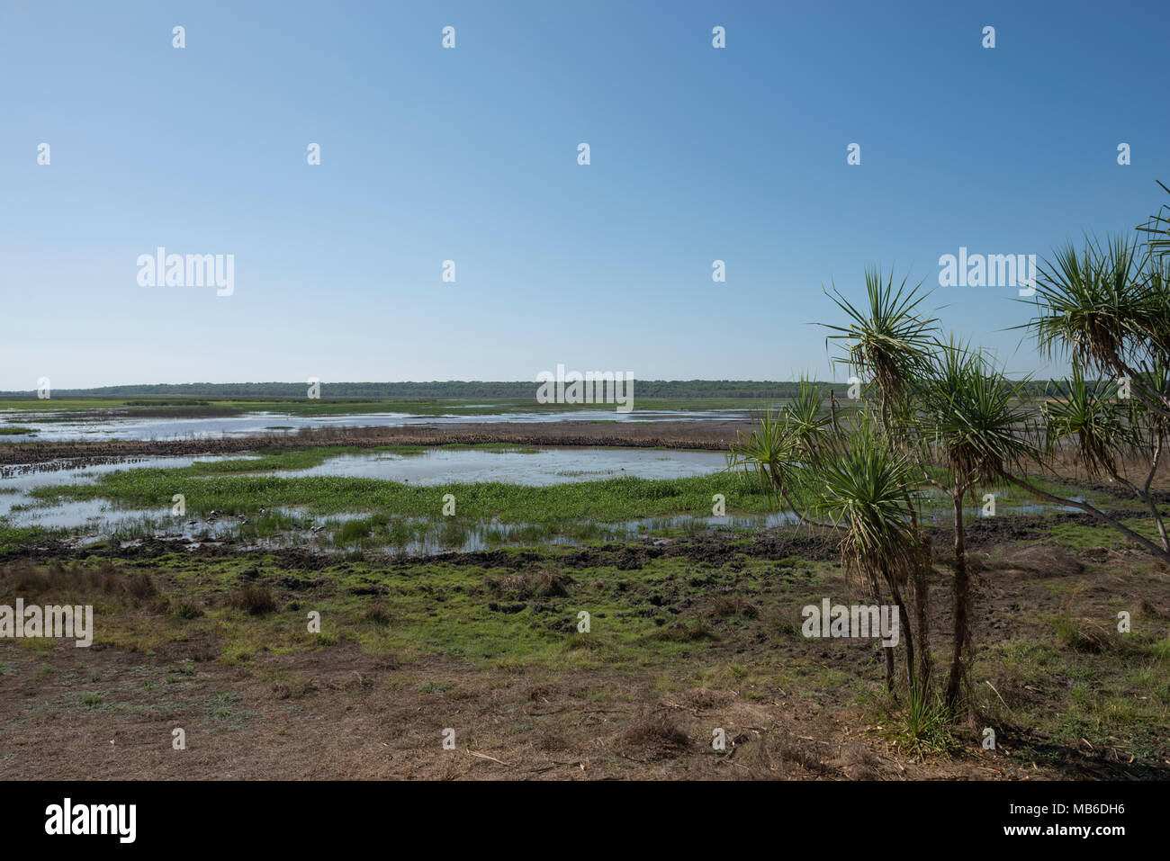 Fogg Dam Conservation Reserve, Northern Territory, Australia ...