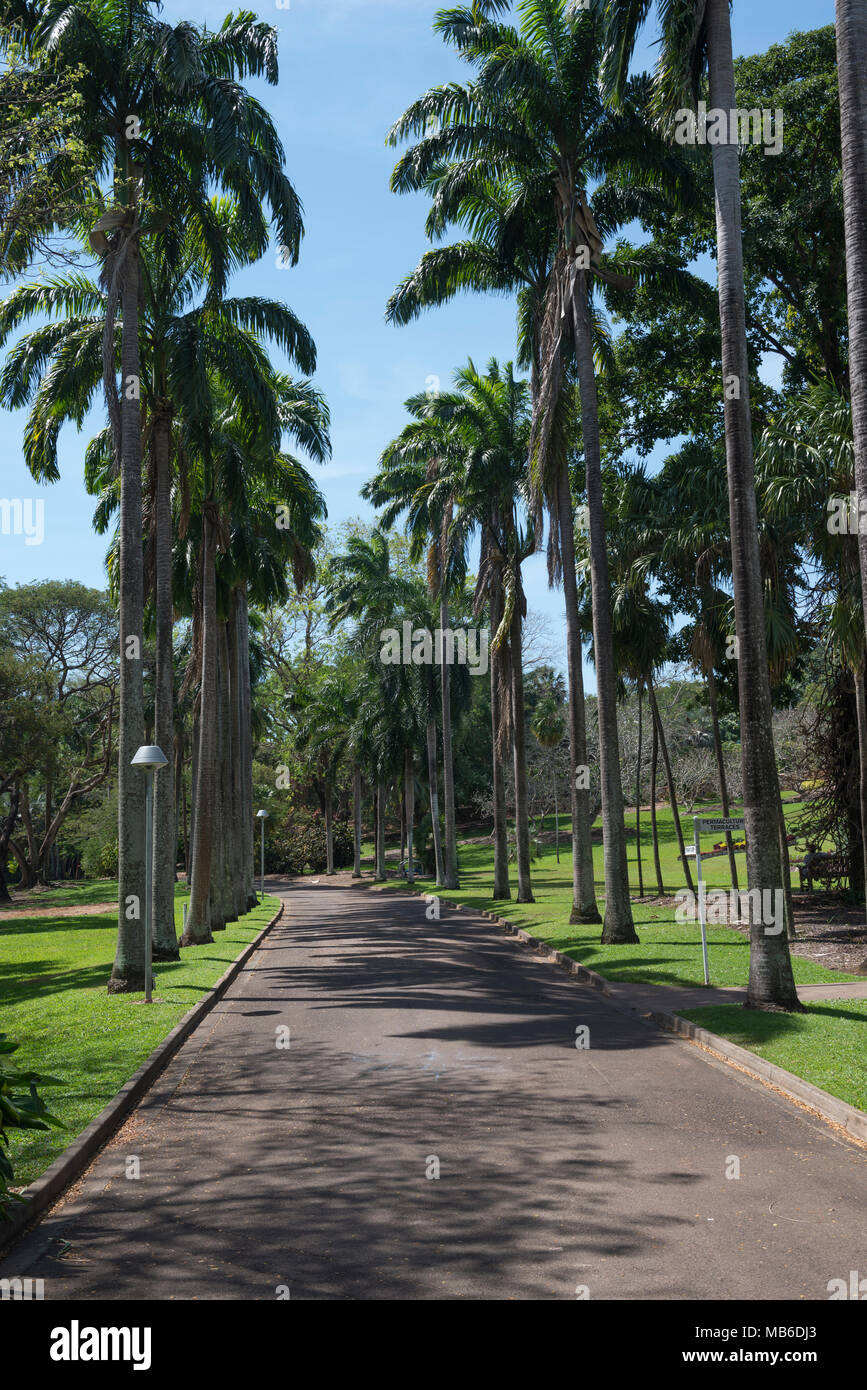 The George Brown Darwin Botanic Gardens in Darwin, Australia are noted ...