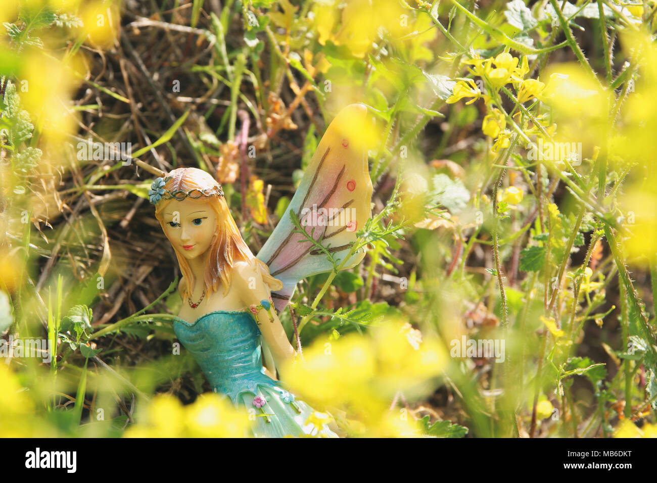 image of magical little fairy in the forest Stock Photo - Alamy