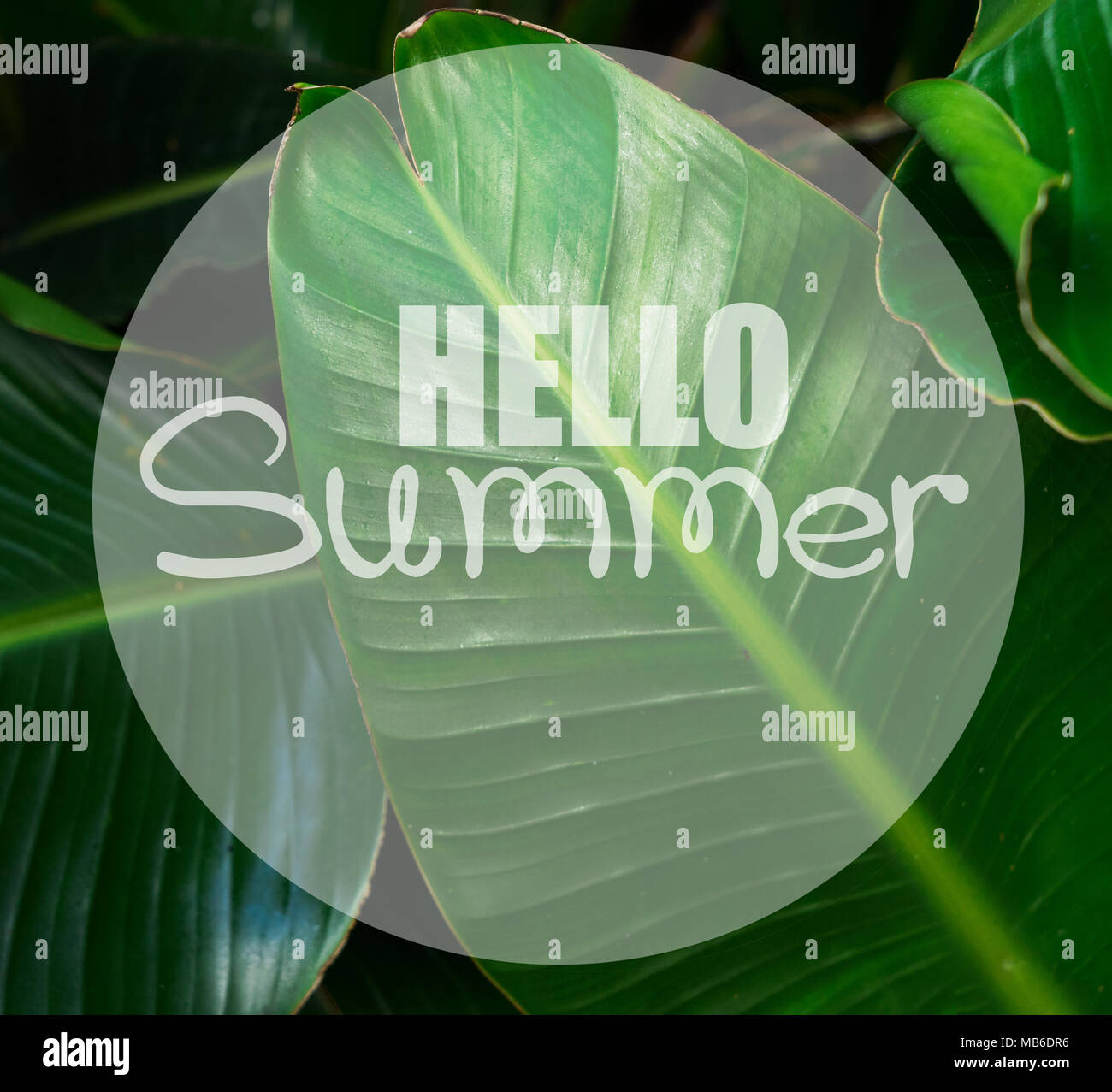 Hello banana vintage hi-res stock photography and images - Alamy