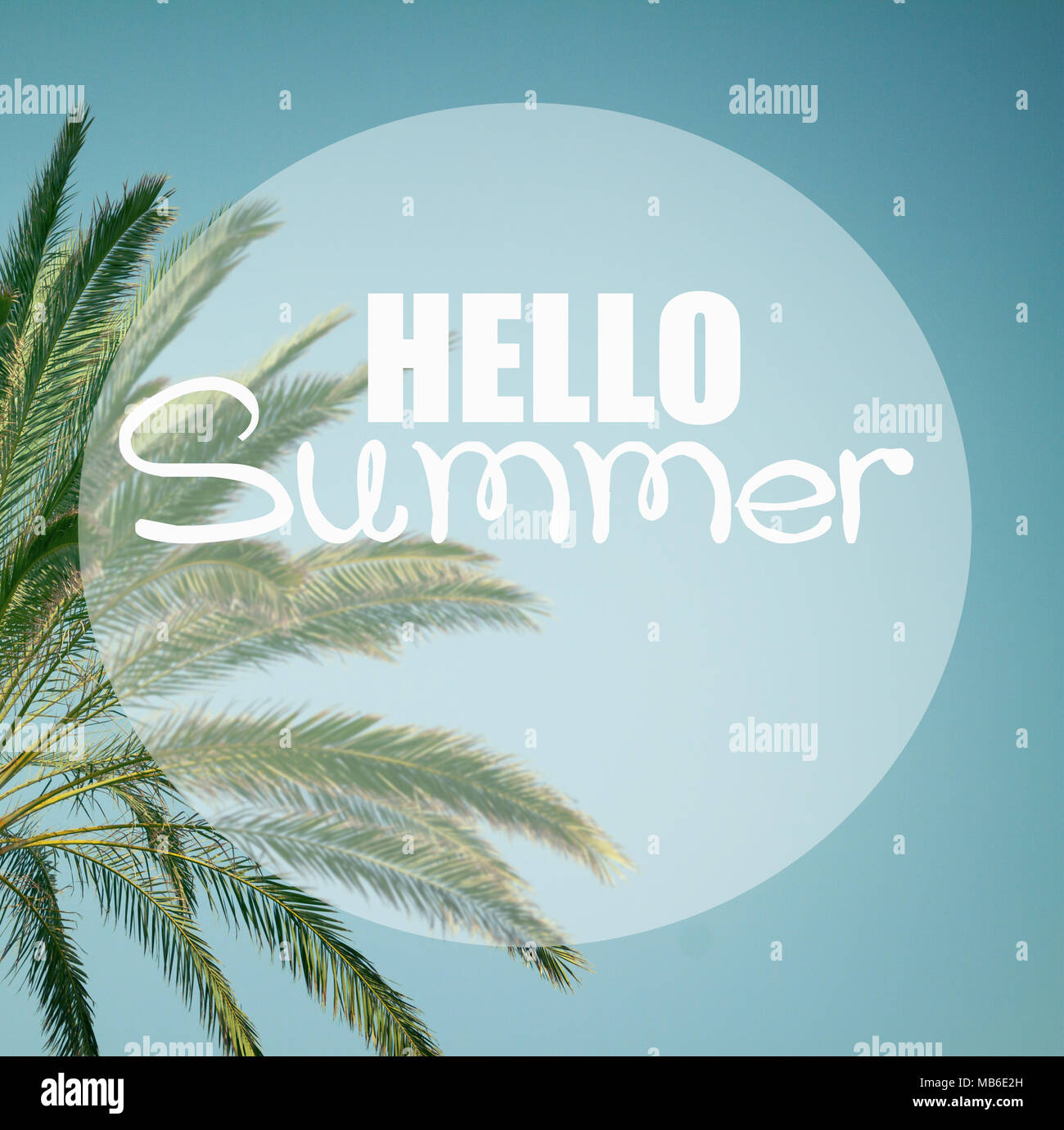 palm tree in blue sky with hello summer greeting Stock Photo - Alamy
