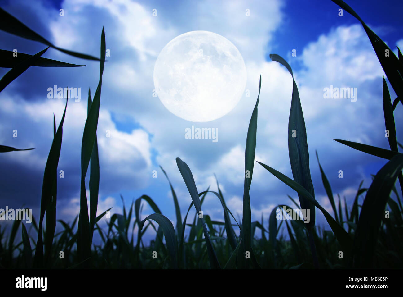 Surreal fantasy concept - full moon in night skies background Stock ...