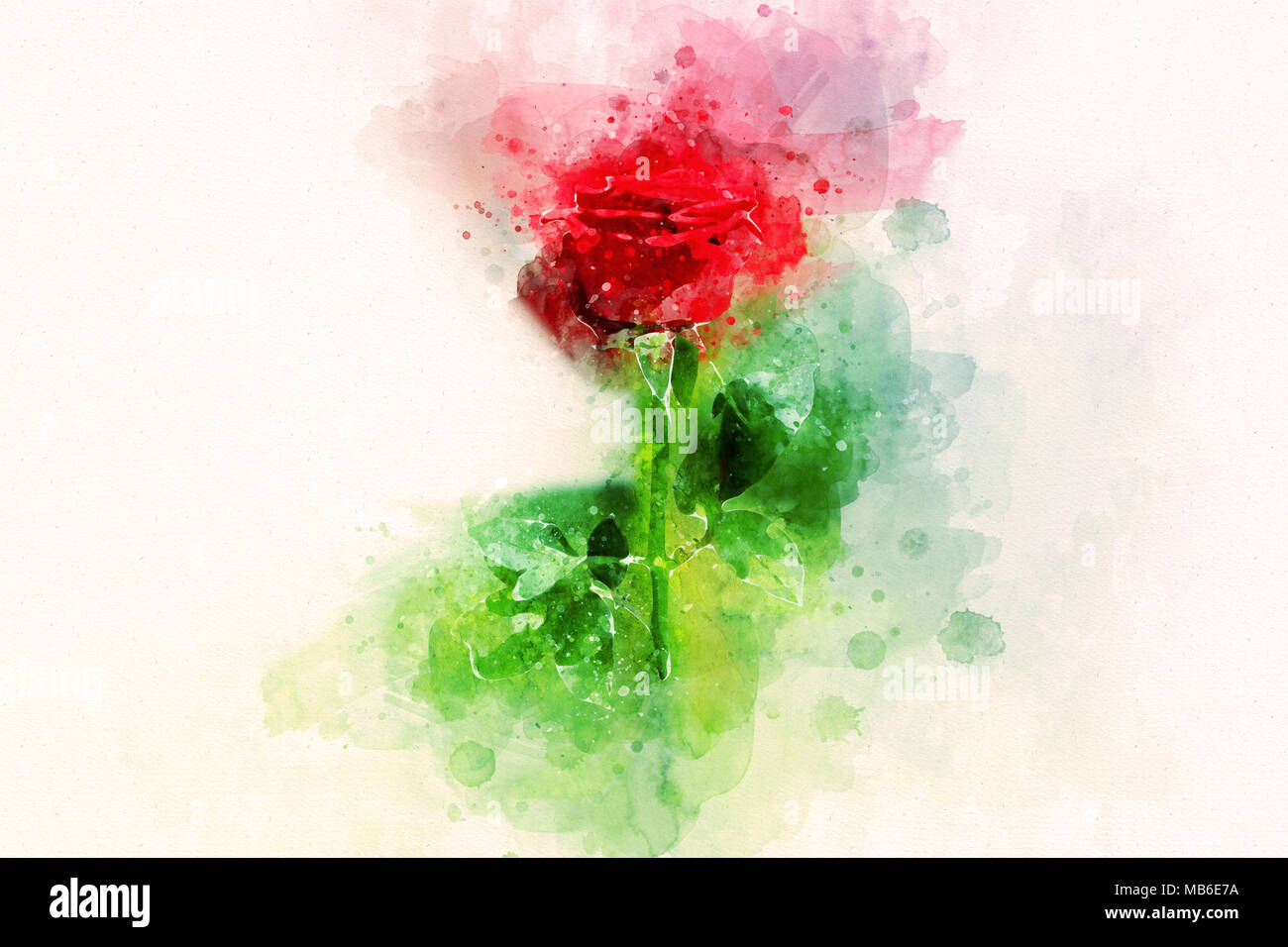 watercolor style and abstract image of red rose Stock Photo - Alamy