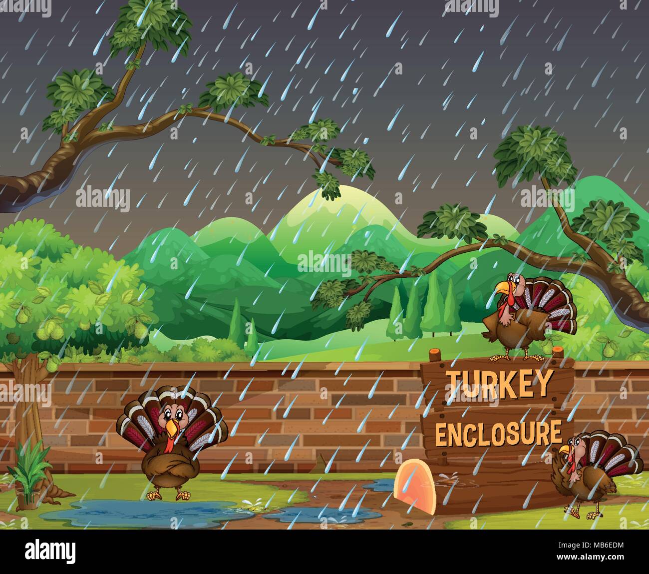 Zoo scene with turkeys in the rain illustration Stock Vector Image ...