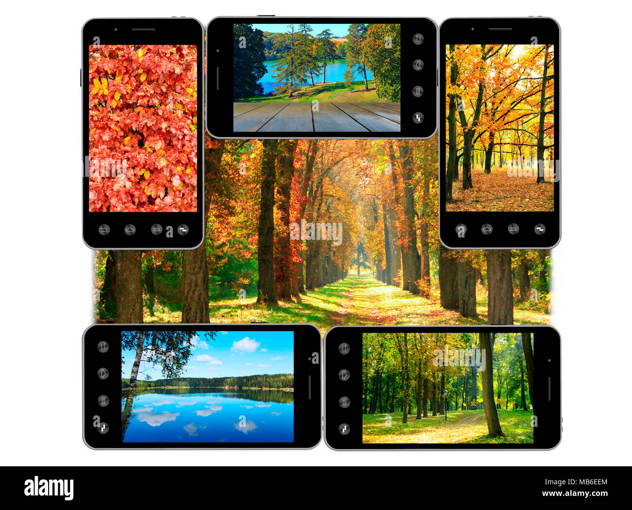 mobile phones with images of autumn isolated on the white Stock Photo ...