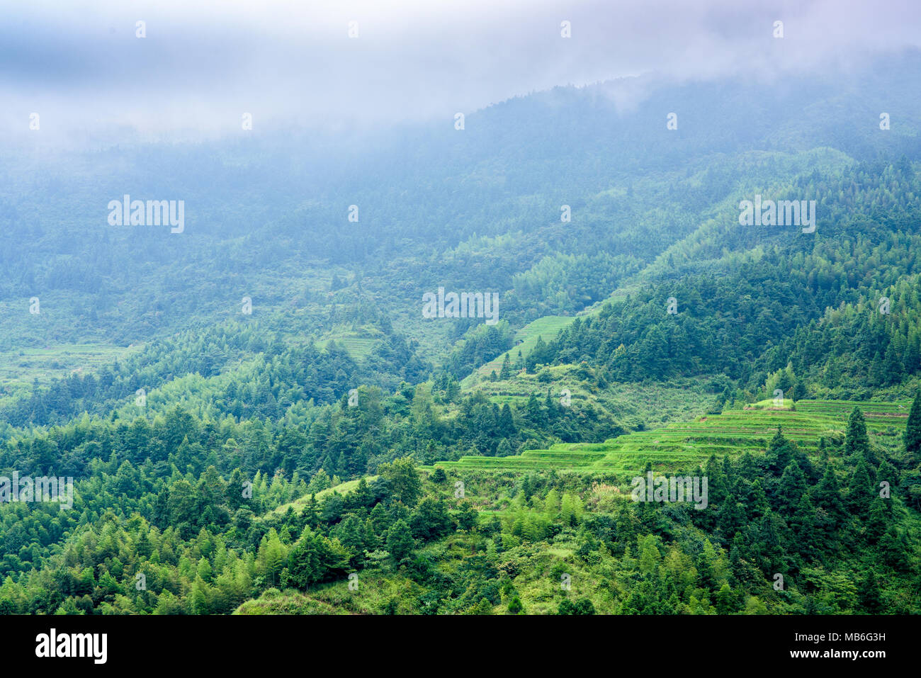 Longsheng Rice Terraces in China Stock Photo - Alamy