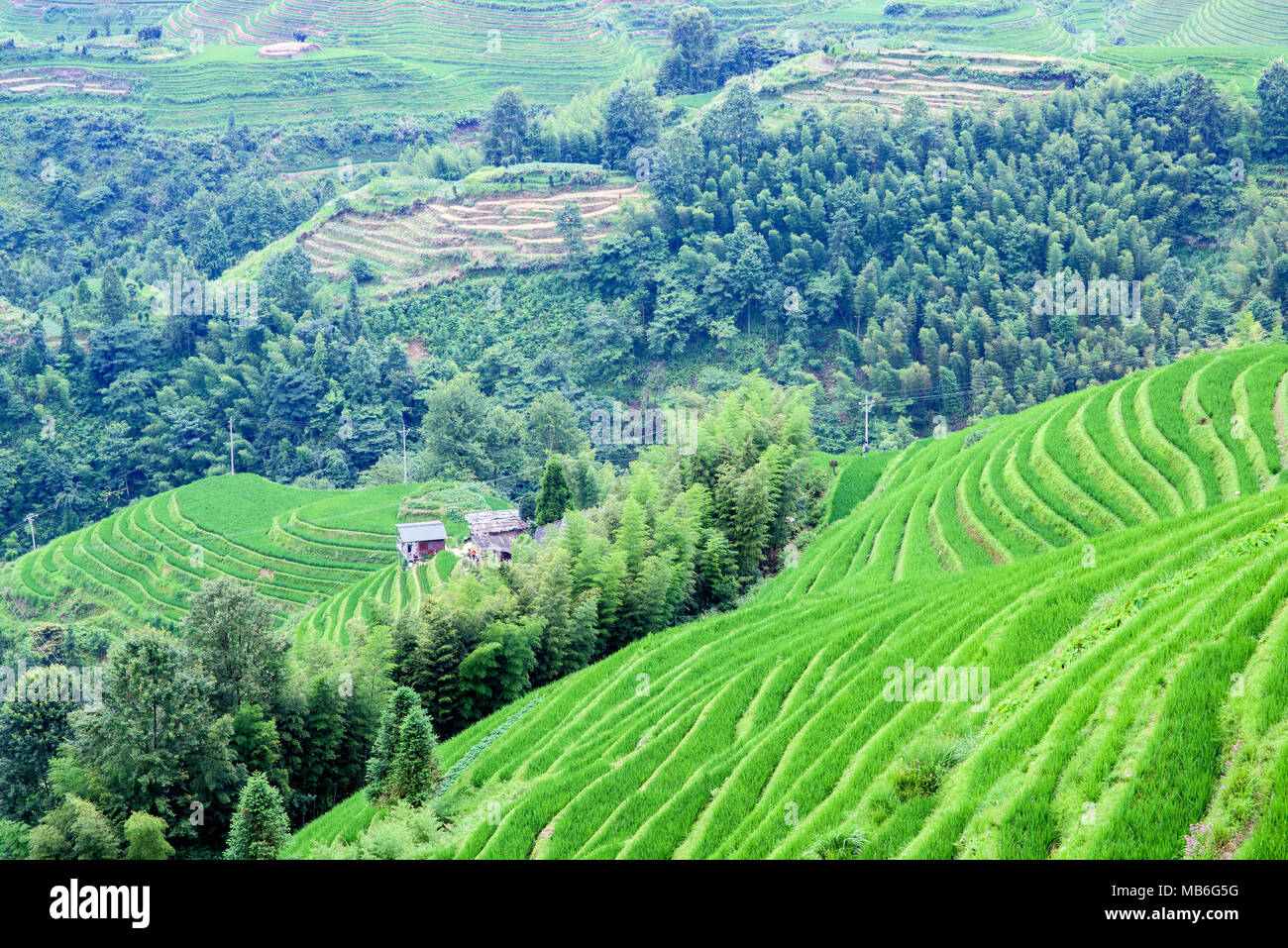 Longsheng Rice Terraces in China Stock Photo - Alamy