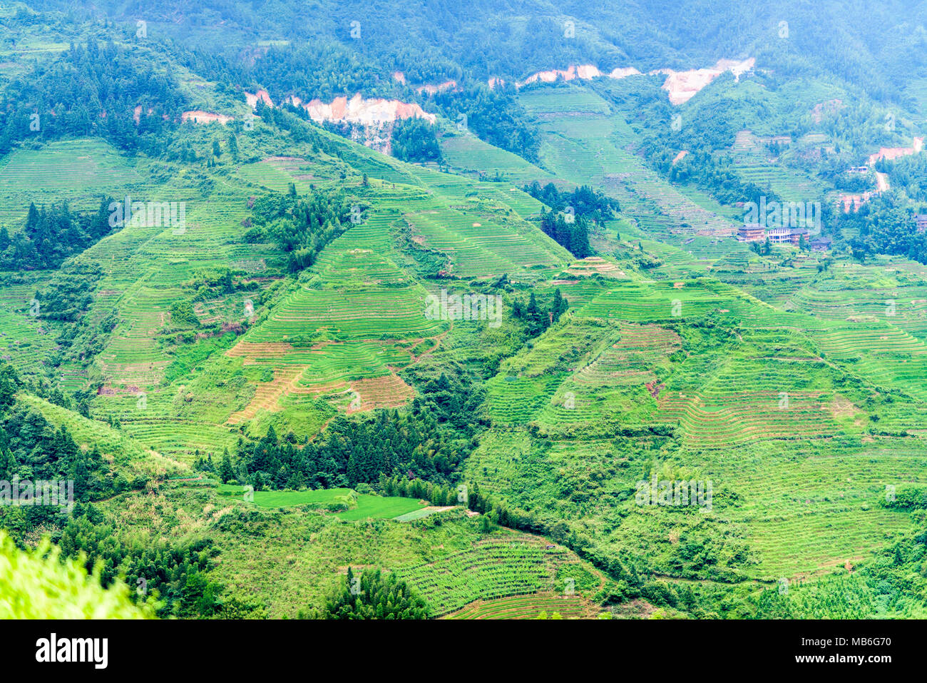 Longsheng Rice Terraces in China Stock Photo - Alamy