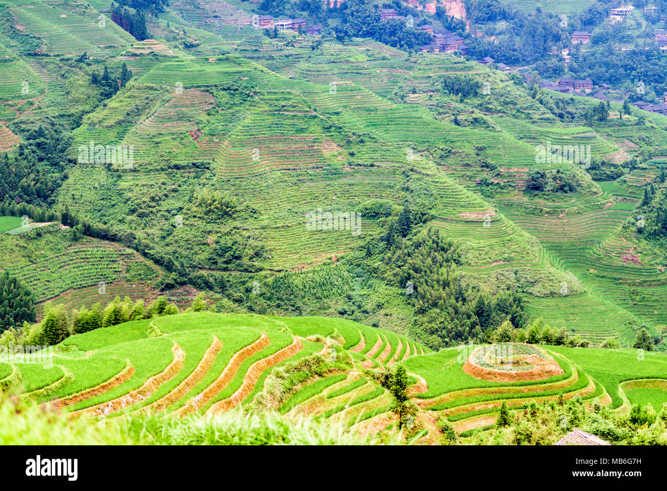 Longsheng Rice Terraces in China Stock Photo - Alamy