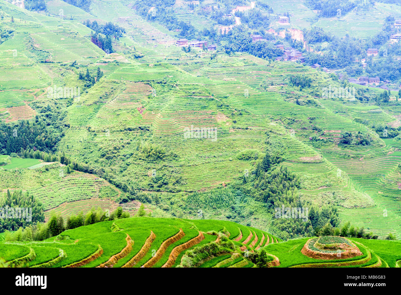 Longsheng Rice Terraces in China Stock Photo - Alamy