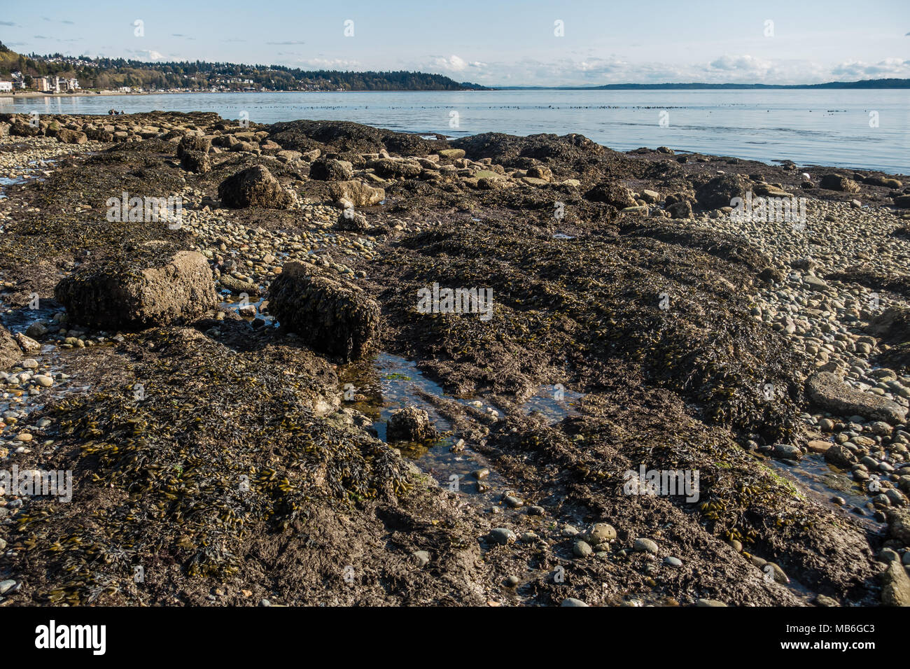 Rocky seabed hi-res stock photography and images - Alamy