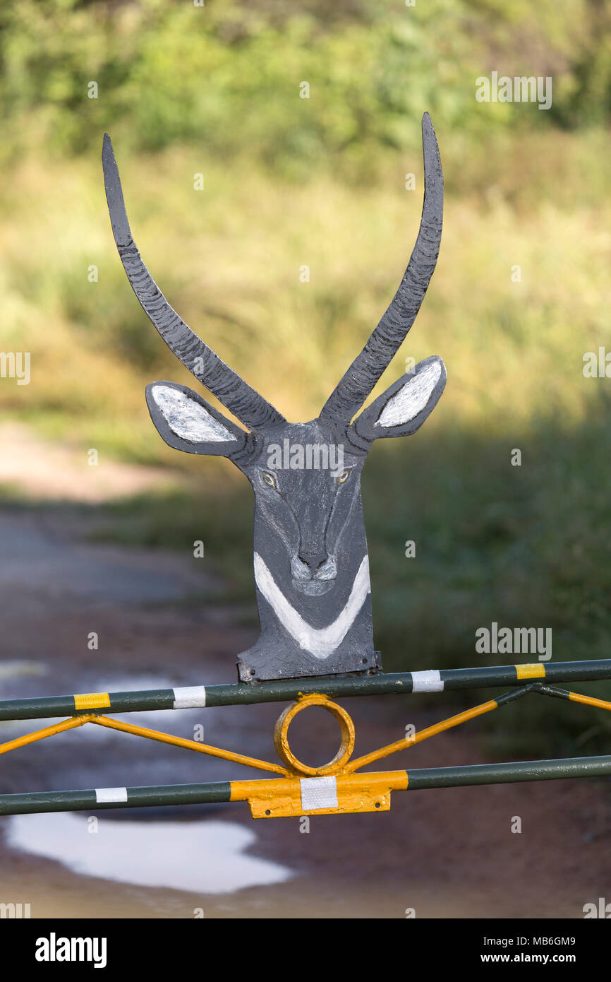 Antelope figure hi-res stock photography and images - Alamy