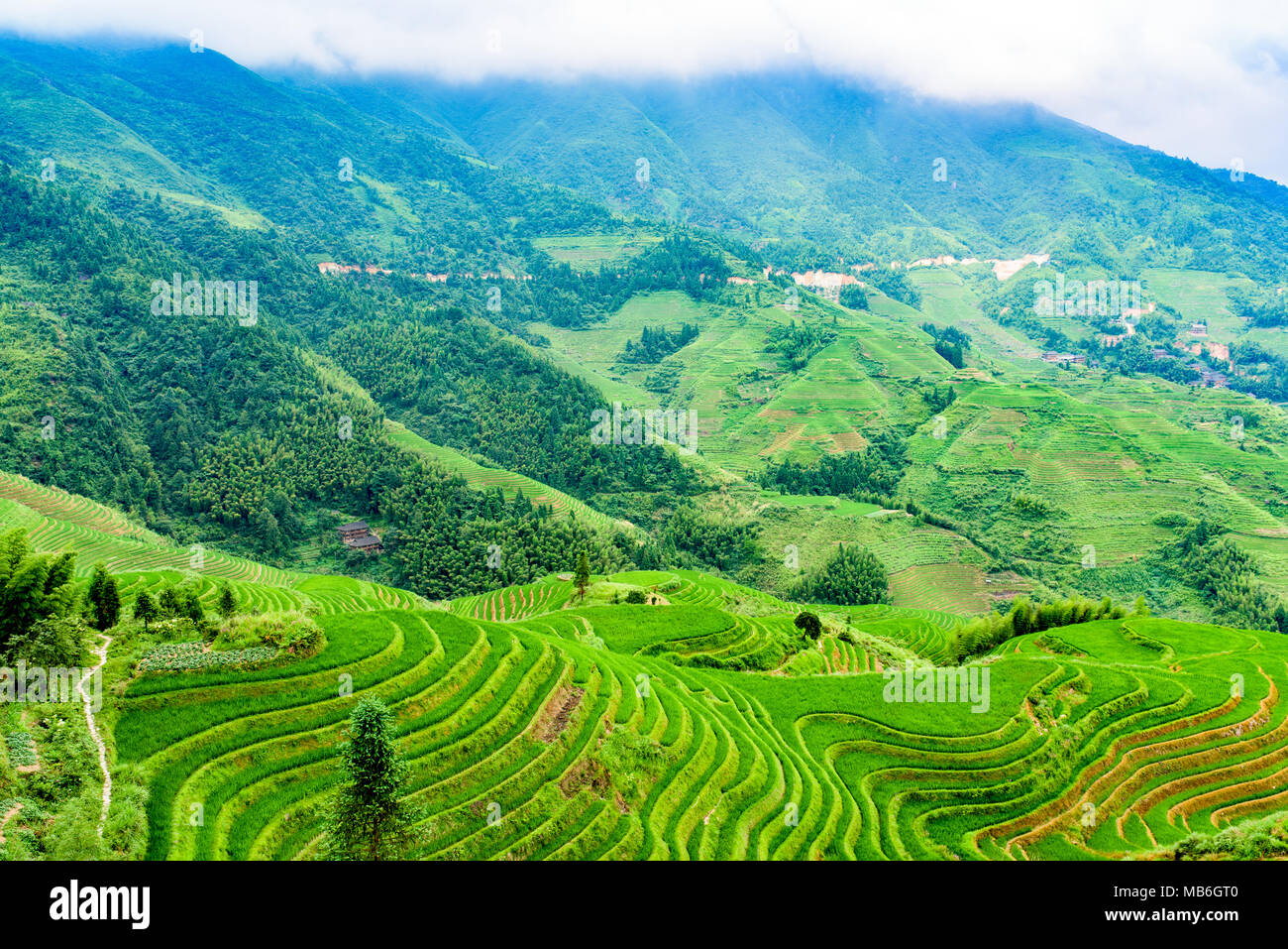 Longsheng Rice Terraces in China Stock Photo - Alamy
