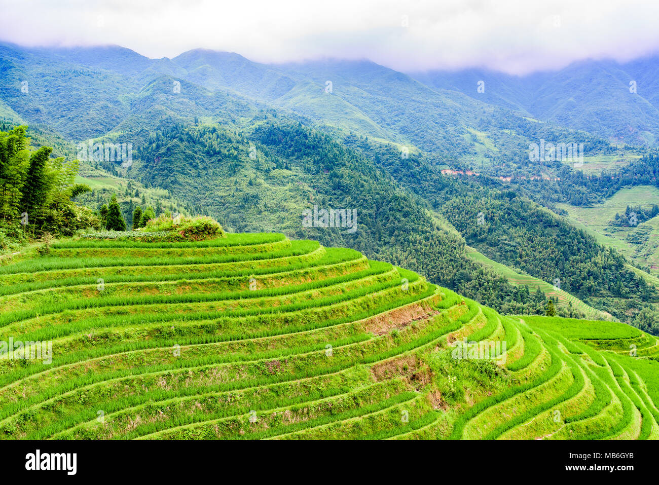 Longsheng Rice Terraces in China Stock Photo - Alamy