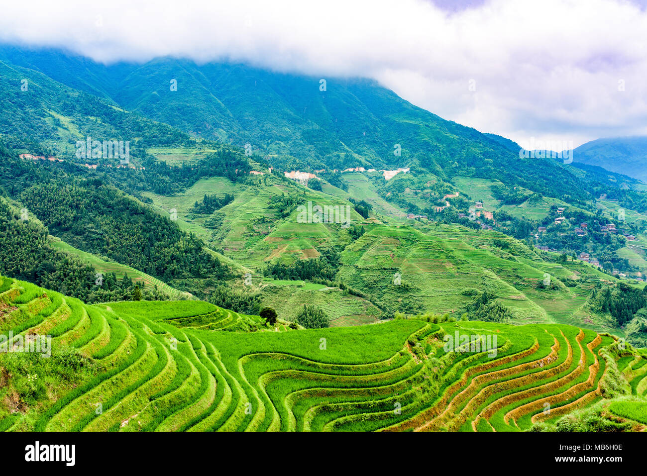 Longsheng Rice Terraces in China Stock Photo - Alamy