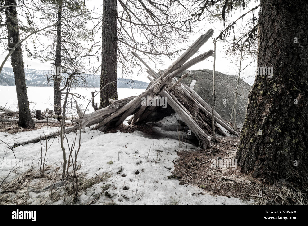 Construction survival structure in the forets with winter snow Stock ...