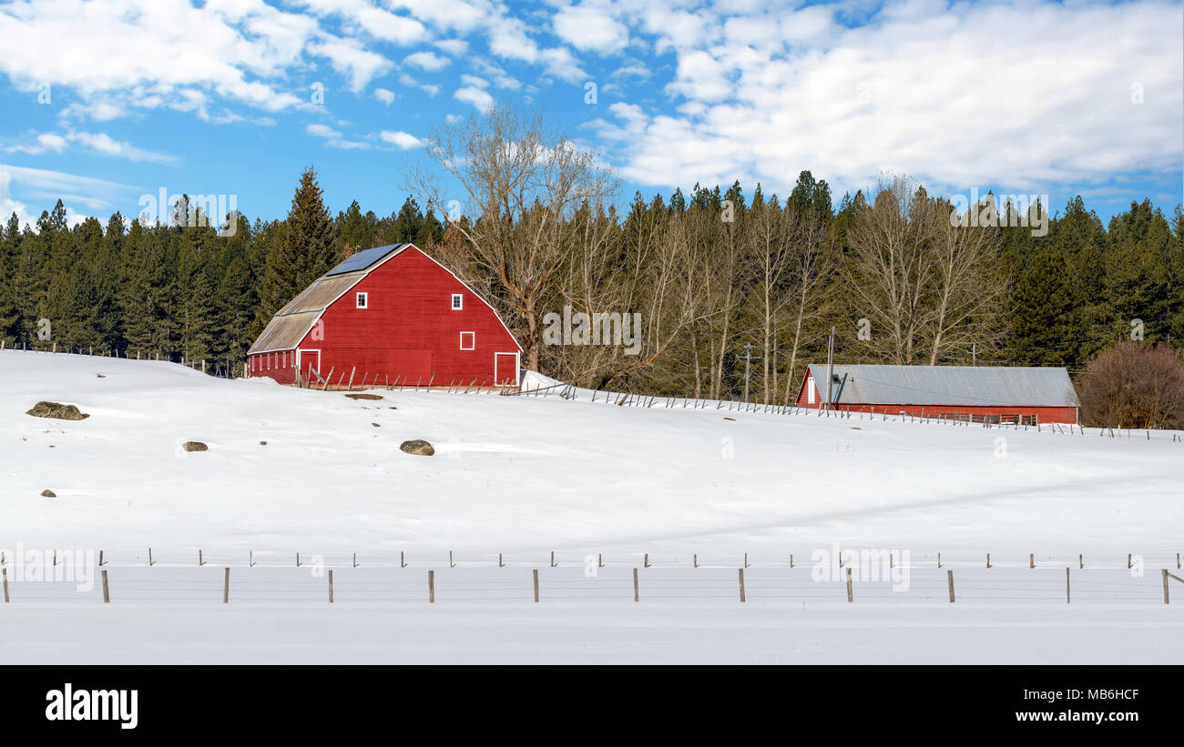 Perfect shaped barn painted red with a forest and snow Stock Photo - Alamy