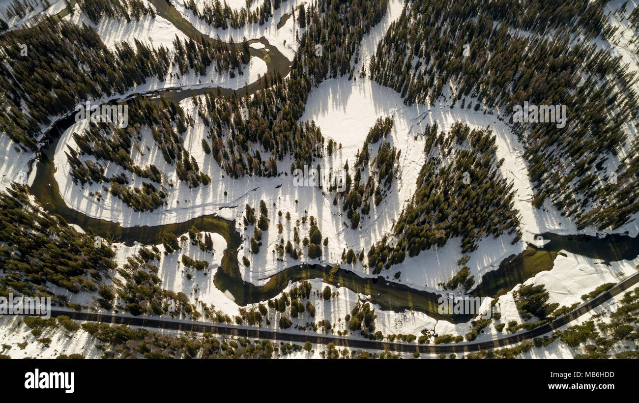 Winter white snow and forest of pine trees with a meandering river ...