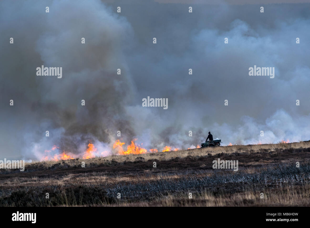 Burning the Moors. North Yorks Moors. England Stock Photo - Alamy