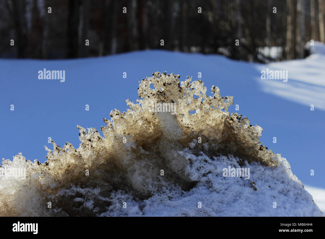 melting dirty snow piled up by a bunch after cleaning the road. Spring ...