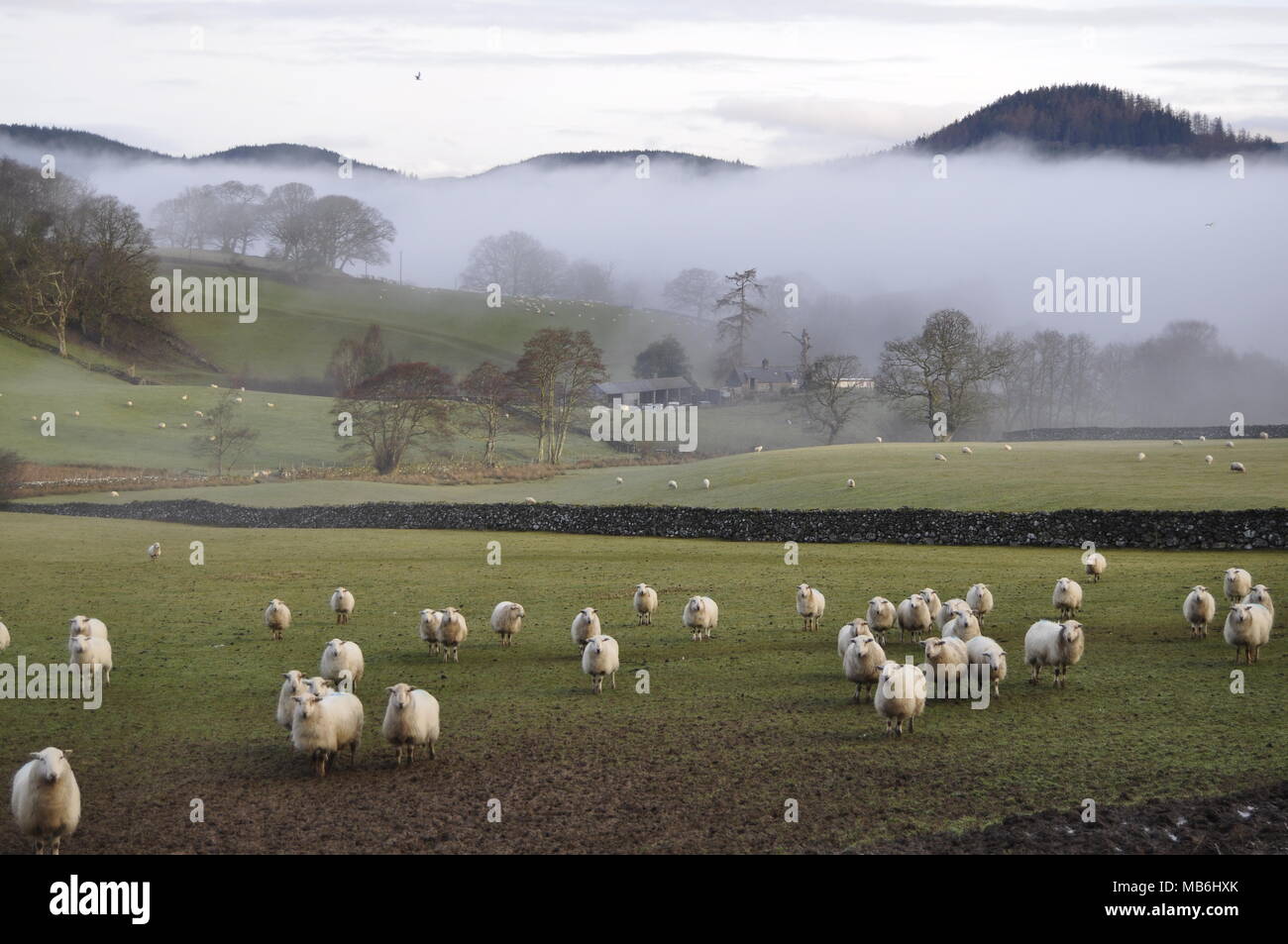 looking north from OS grid 752222, south of Llanfachreth, Gwynedd ...
