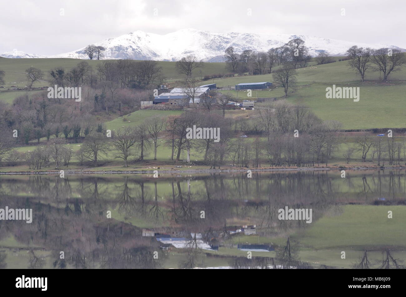 Looking north-west over Lake Bala, towards Arenig Fawr, Gwynedd ...