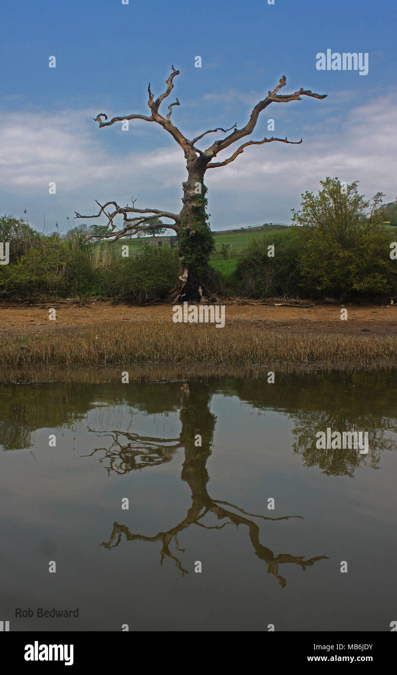 Kayak on the spit hi-res stock photography and images - Alamy