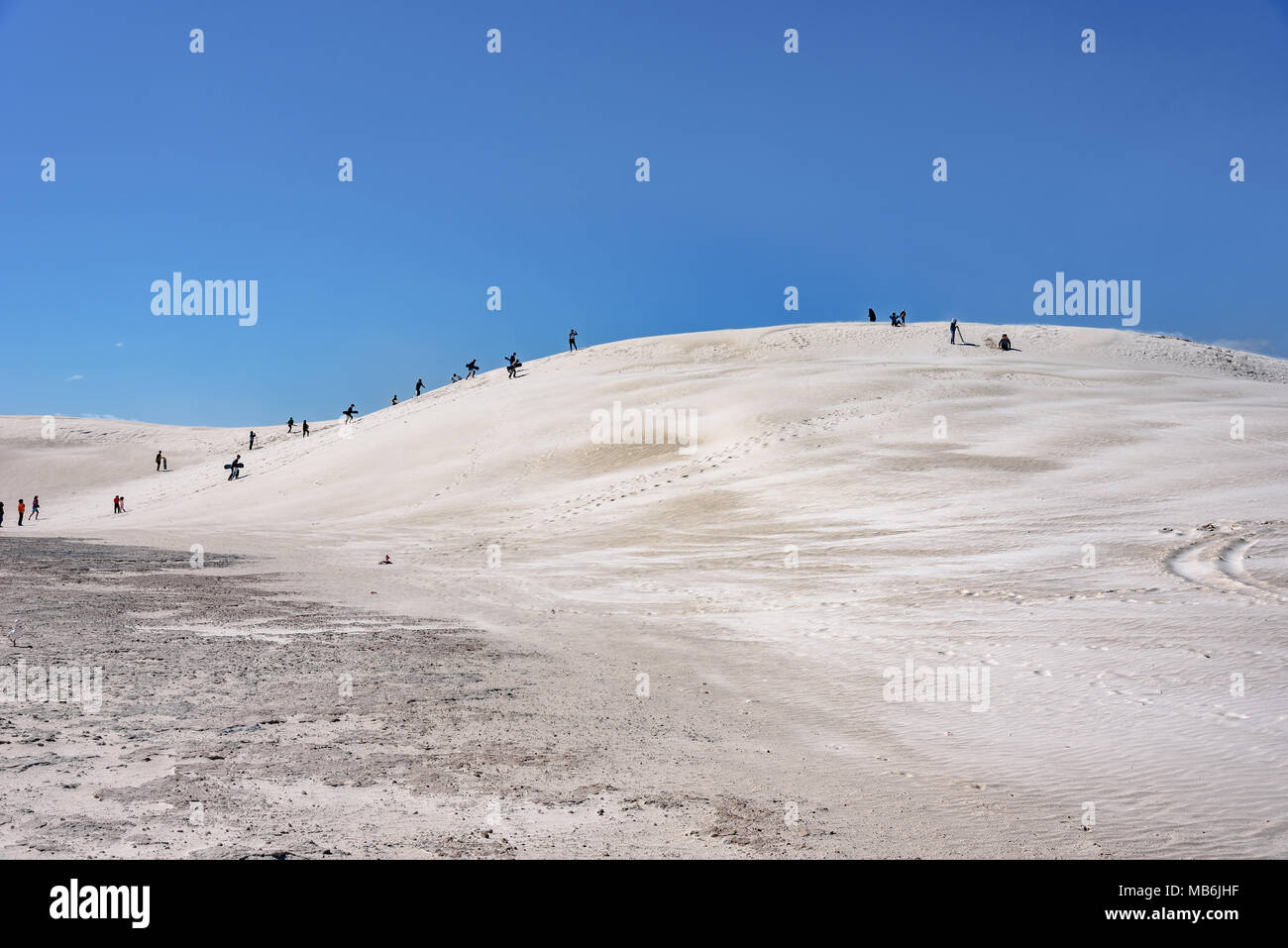 People climbing a sand dune and sandboarding in Lancelin, Western ...