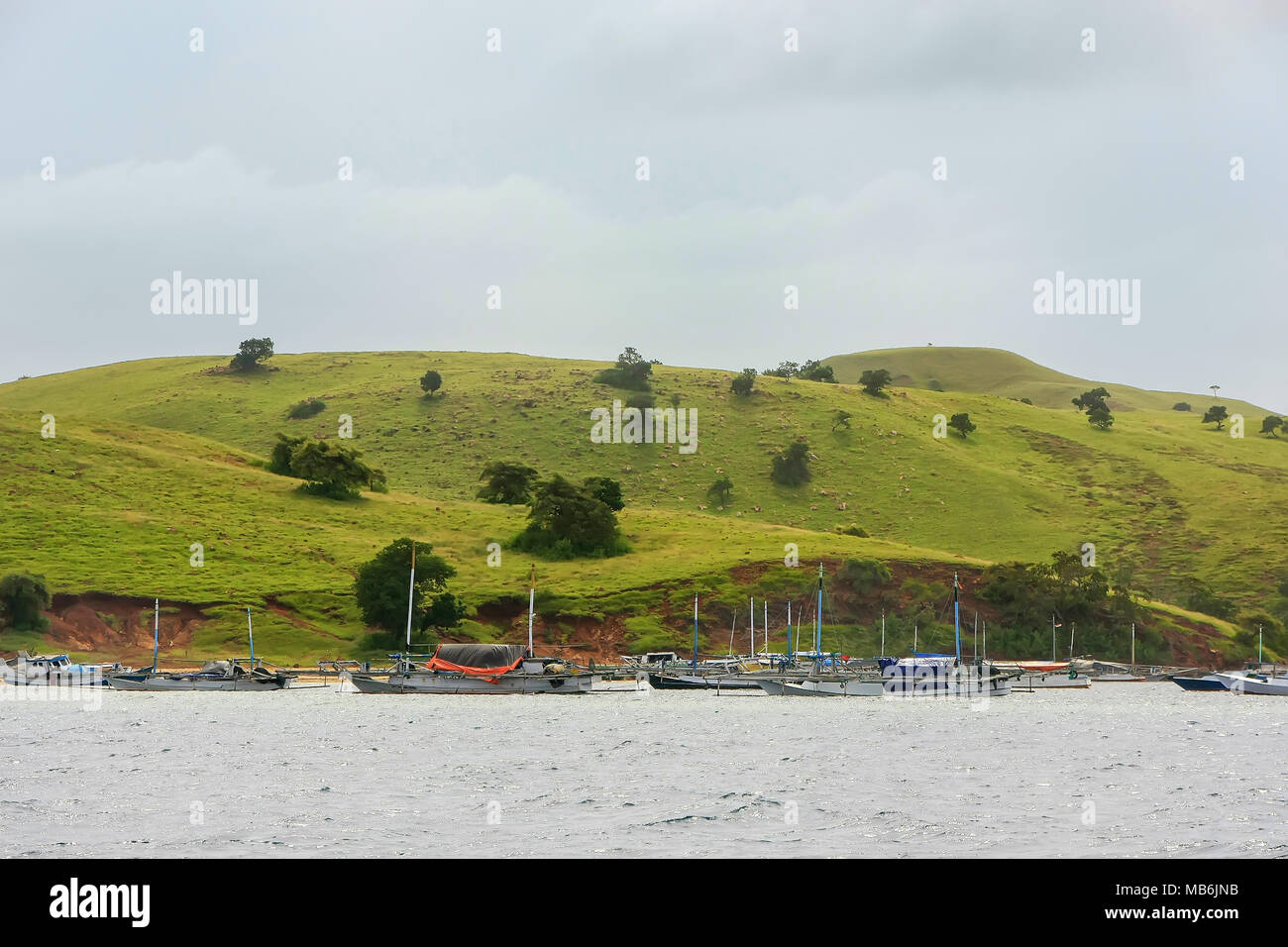 Traditional fishing boats anchored by the island in Komodo National ...