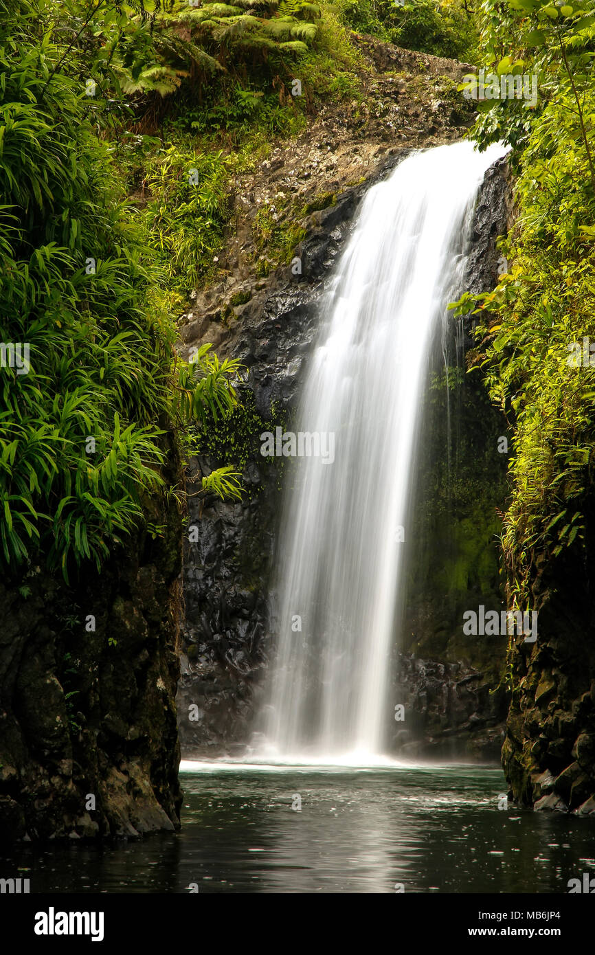 Wainibau Waterfall at the end of Lavena Coastal Walk on Taveuni Island ...