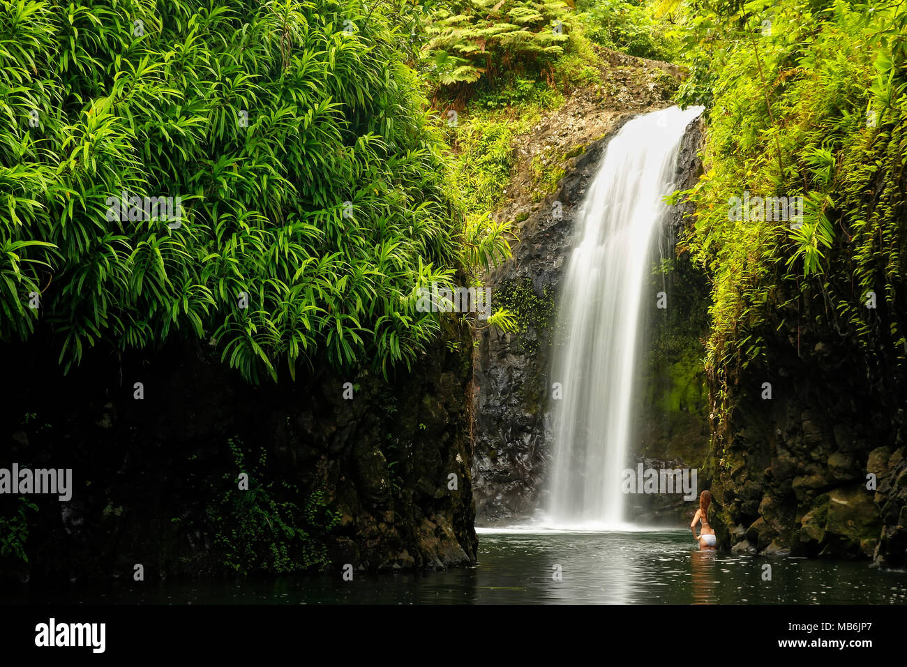 Wainibau Waterfall at the end of Lavena Coastal Walk on Taveuni Island ...