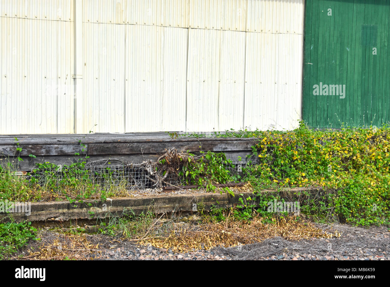 Old overgrown wooden platform Stock Photo - Alamy