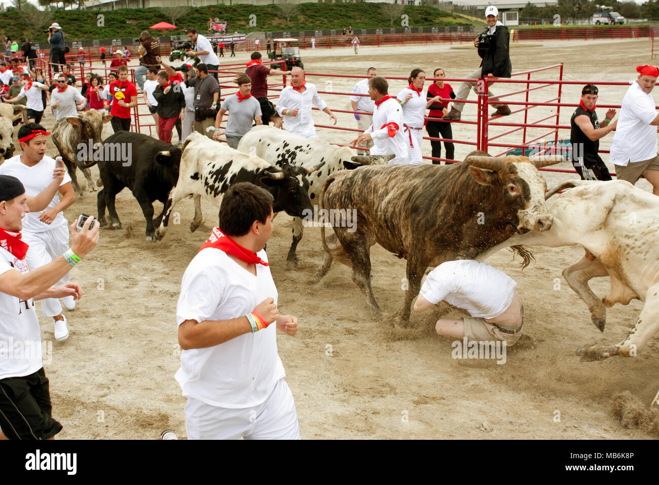 A man crumples and gets trampled running with the bulls at The Great ...