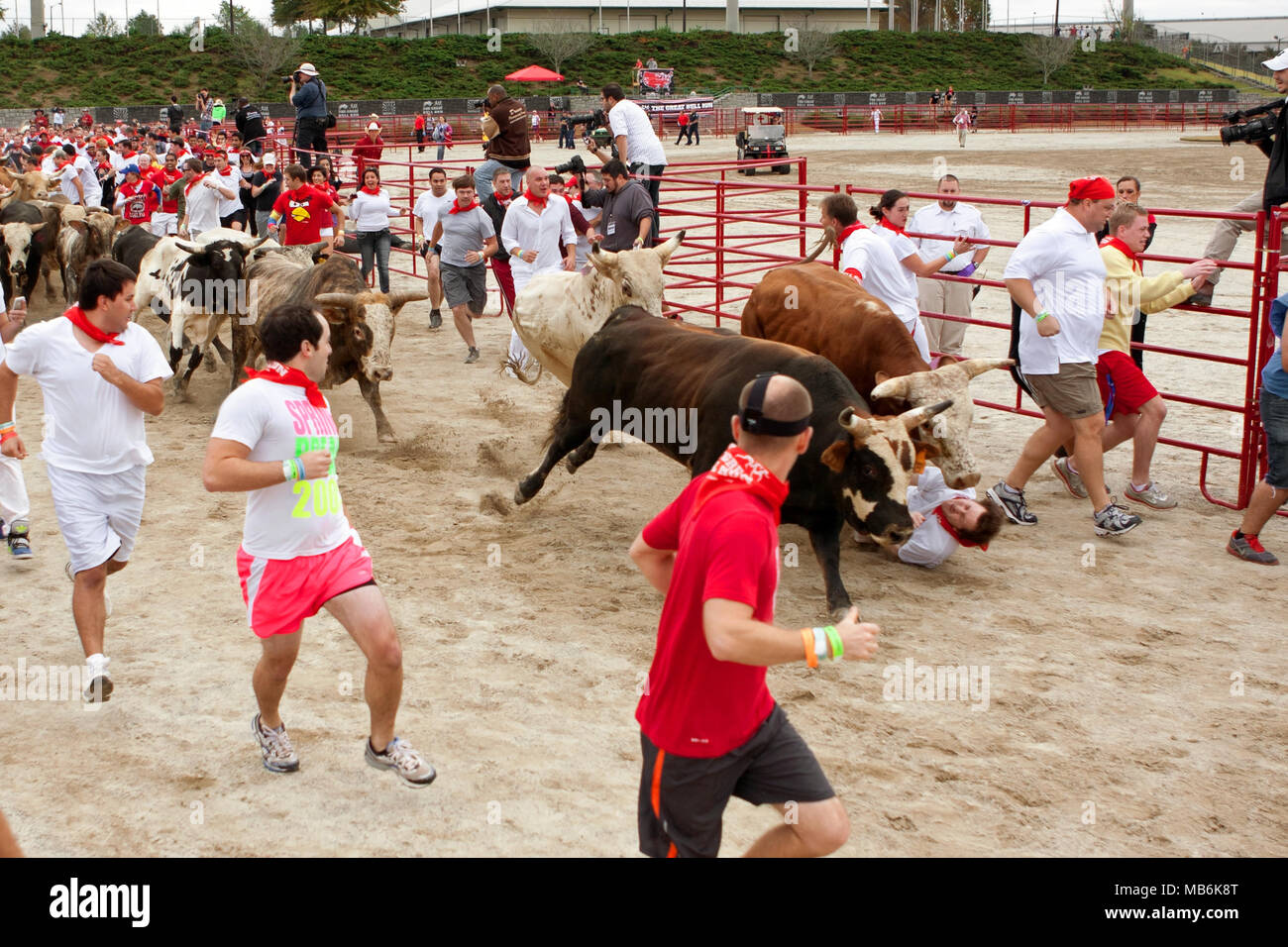 A man falls between two steers and gets trampled running with the bulls ...