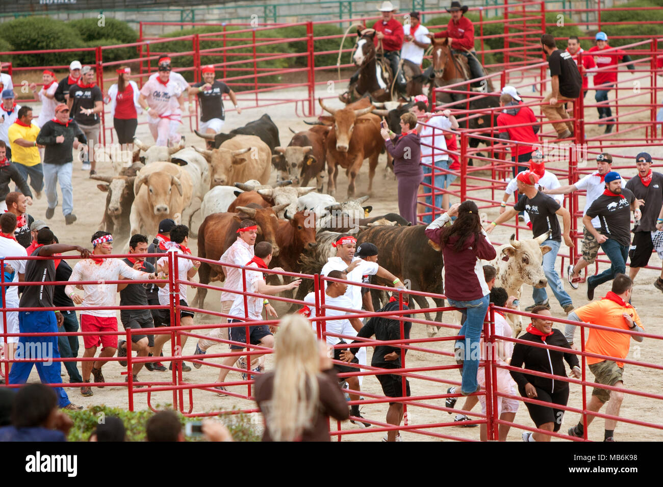 Stampeding Stock Photos & Stampeding Stock Images - Alamy