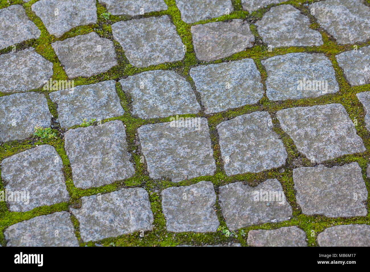 Stone Block Seamless Texture, The road to pedestrians Stock Photo - Alamy
