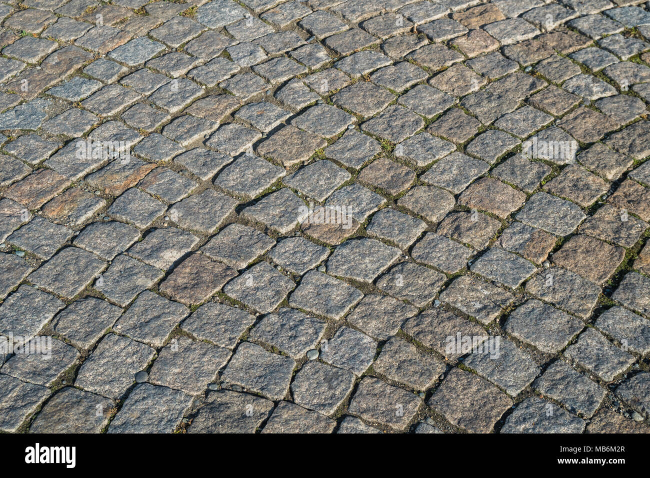 Dark stone paving moss hi-res stock photography and images - Alamy