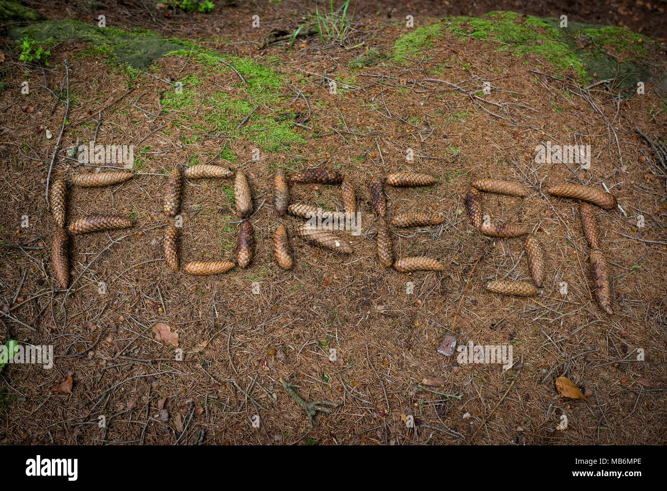 Word forest hi-res stock photography and images - Alamy