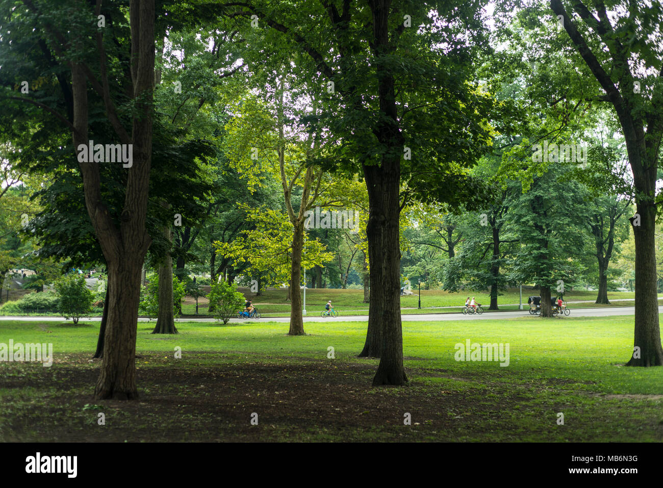 New Yorkers enjoy a bike ride through Central Park. This kind of ...