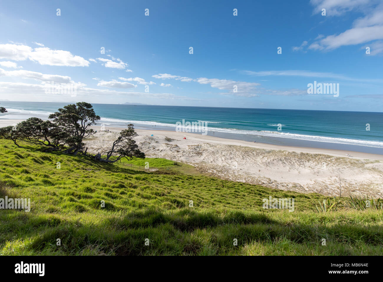 Pakiri beach hi-res stock photography and images - Alamy