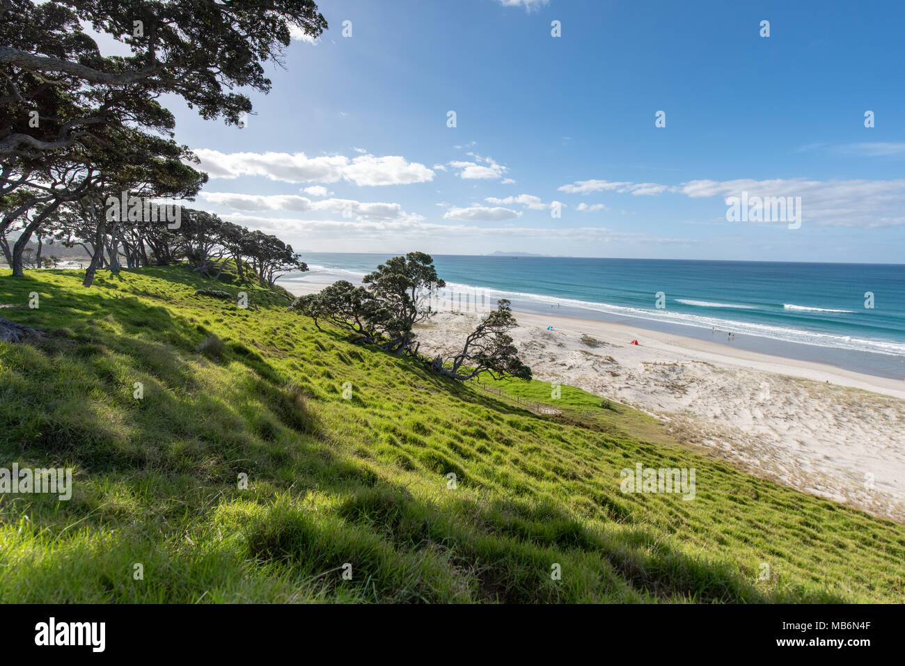 Pakiri Beach High Resolution Stock Photography and Images - Alamy