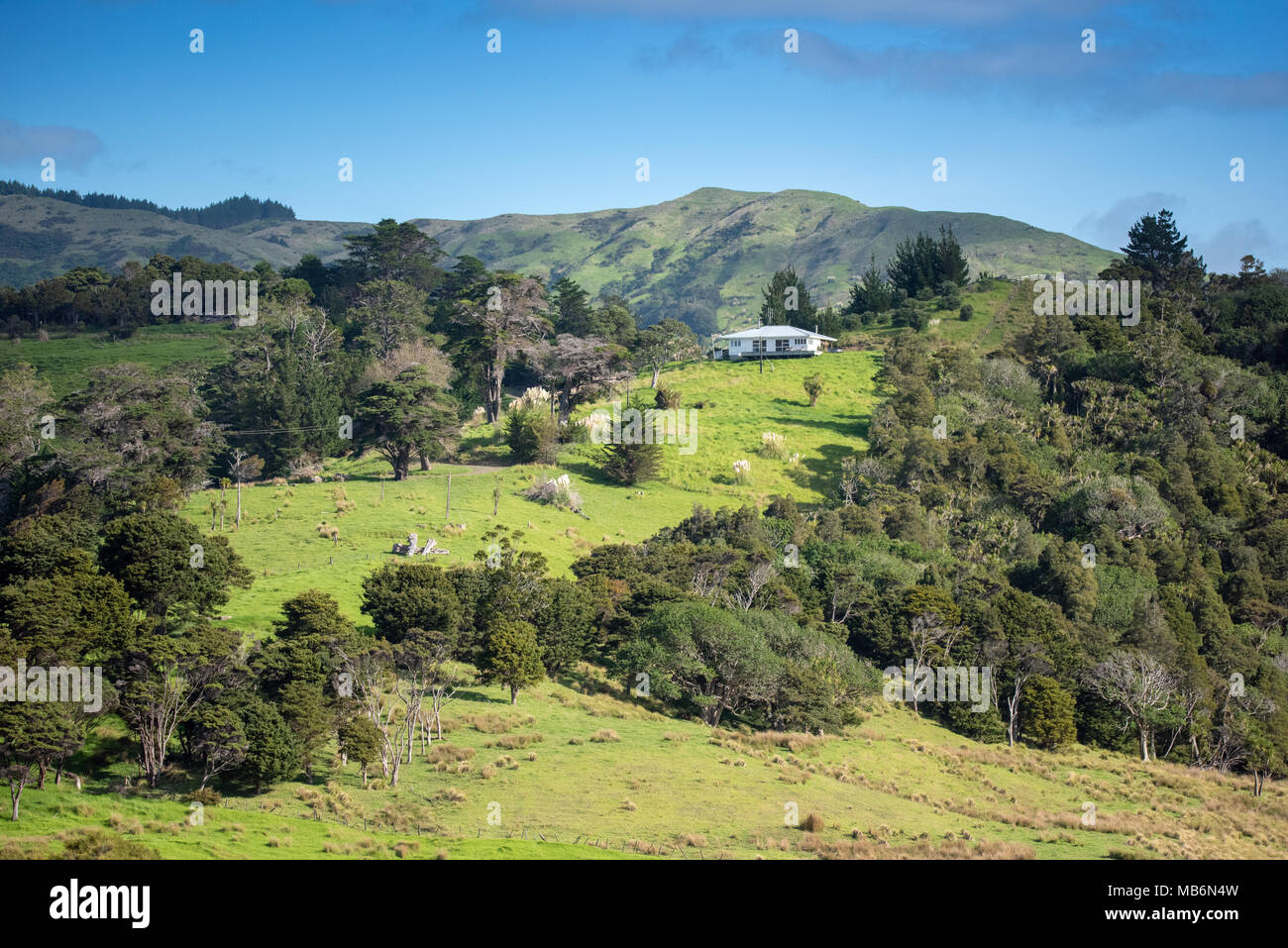 Pakiri beach hi-res stock photography and images - Alamy