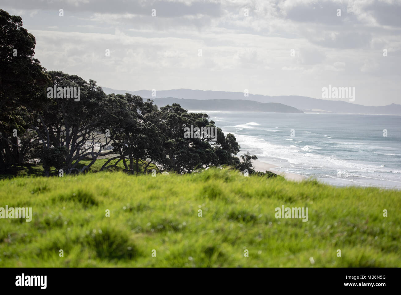 Pakiri beach hi-res stock photography and images - Alamy