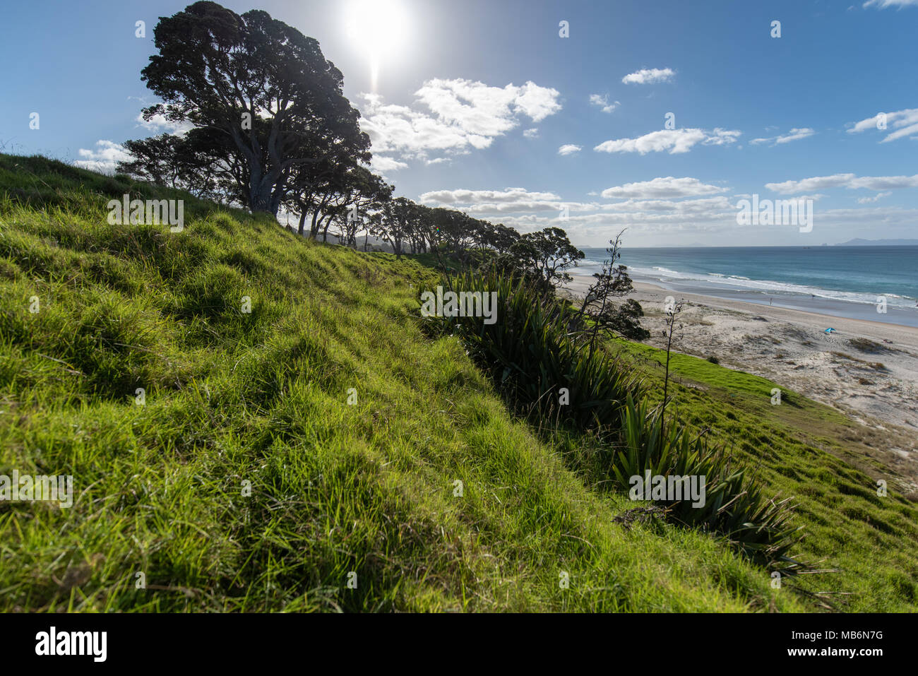Pakiri beach, New Zealand Stock Photo - Alamy
