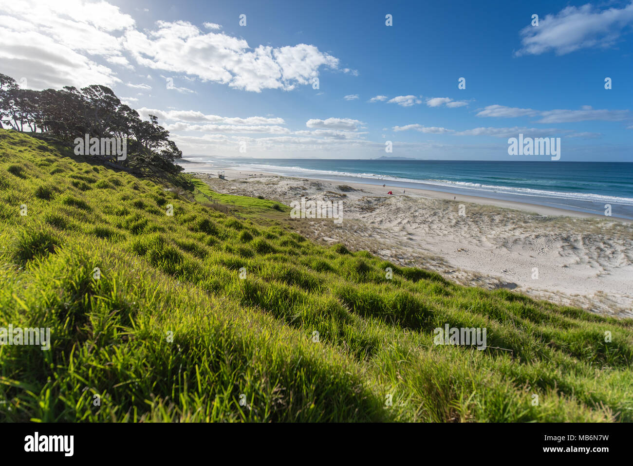 Pakiri beach hi-res stock photography and images - Alamy