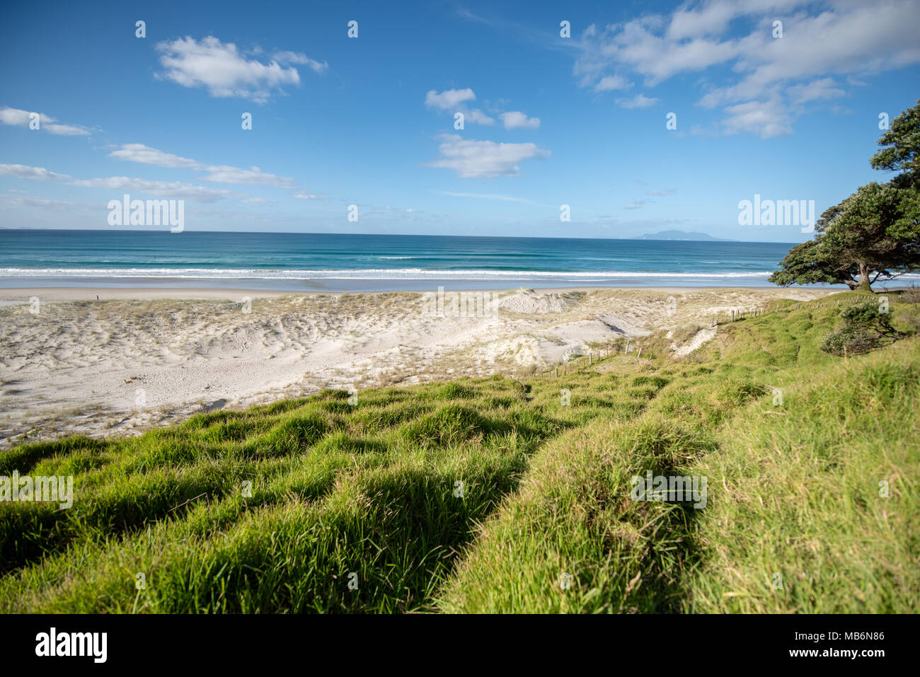 Pakiri beach, New Zealand Stock Photo - Alamy