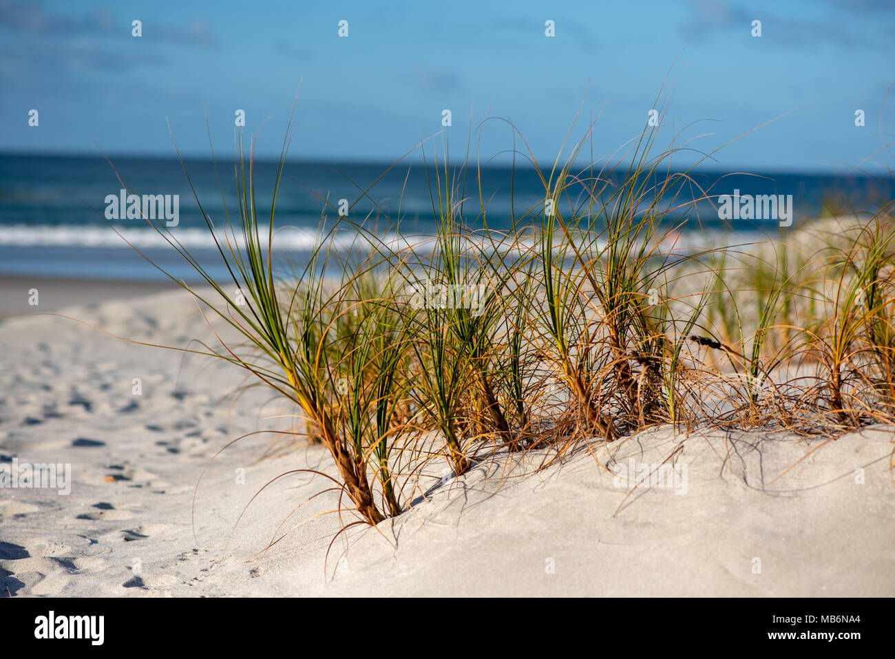 Pakiri beach hi-res stock photography and images - Alamy