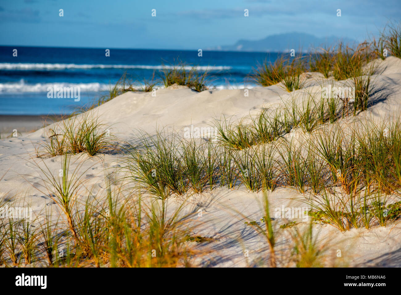 Pakiri beach, New Zealand Stock Photo - Alamy