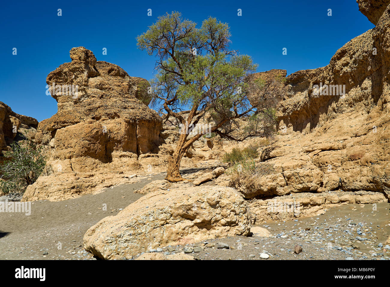 Sesriem canyon with Tsauchab river, Namib desert, Namibia, Africa Stock ...