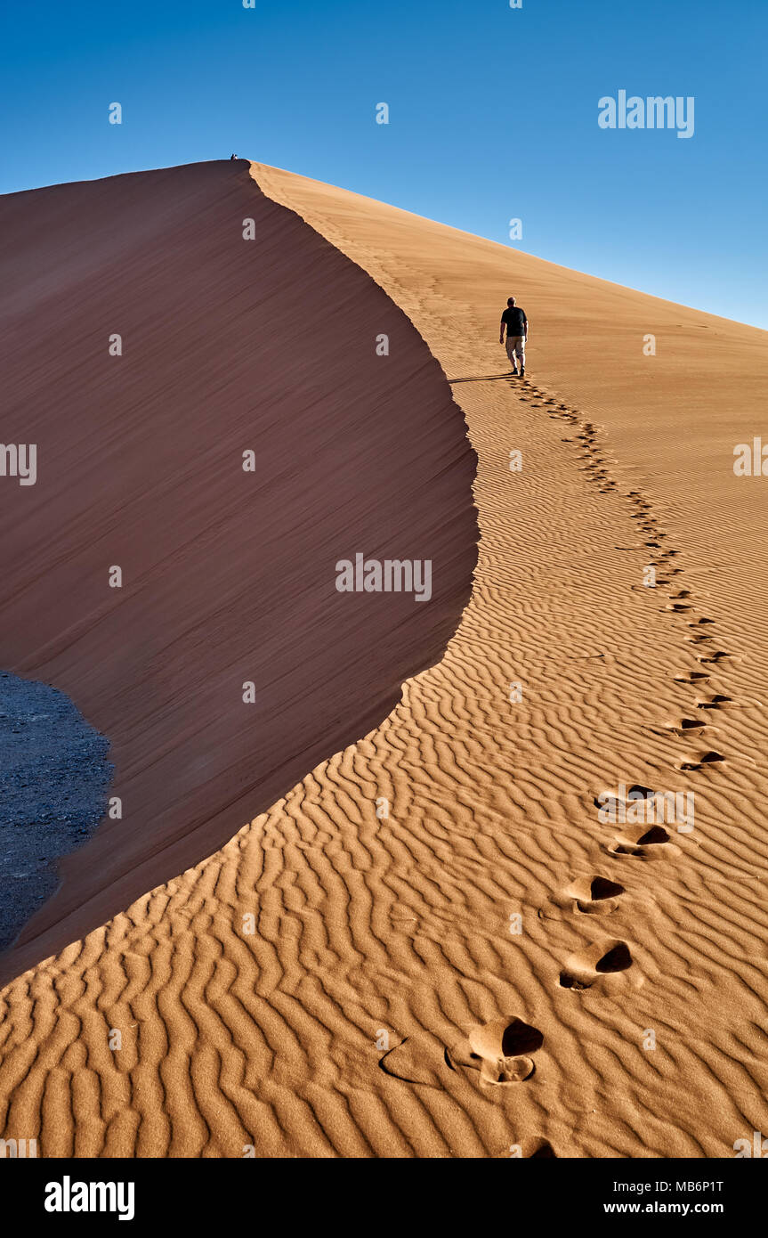 man ist walking up dune 45, desert landscape of Namib Stock Photo - Alamy